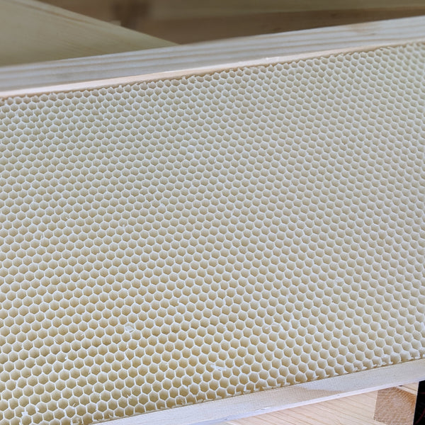 BetterComb- Fully Drawn Comb – Worker and Hive Bee Supply