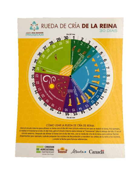 Queen Rearing Wheel – Worker and Hive Bee Supply