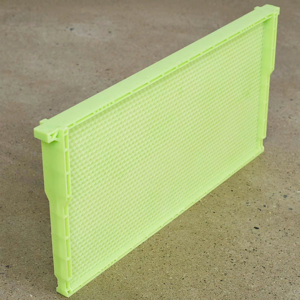 9 1/8" (Deep) Green Drone Comb - One Piece Plastic Frame – Worker and ...
